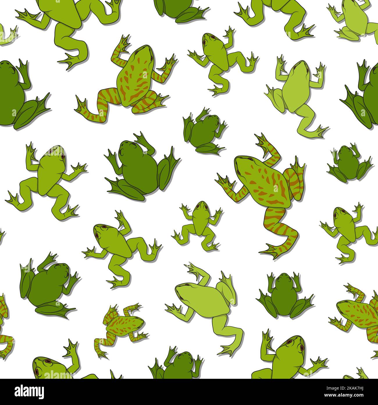 Seamless pattern with green river frogs. Color vector background with shadow on white Stock ...