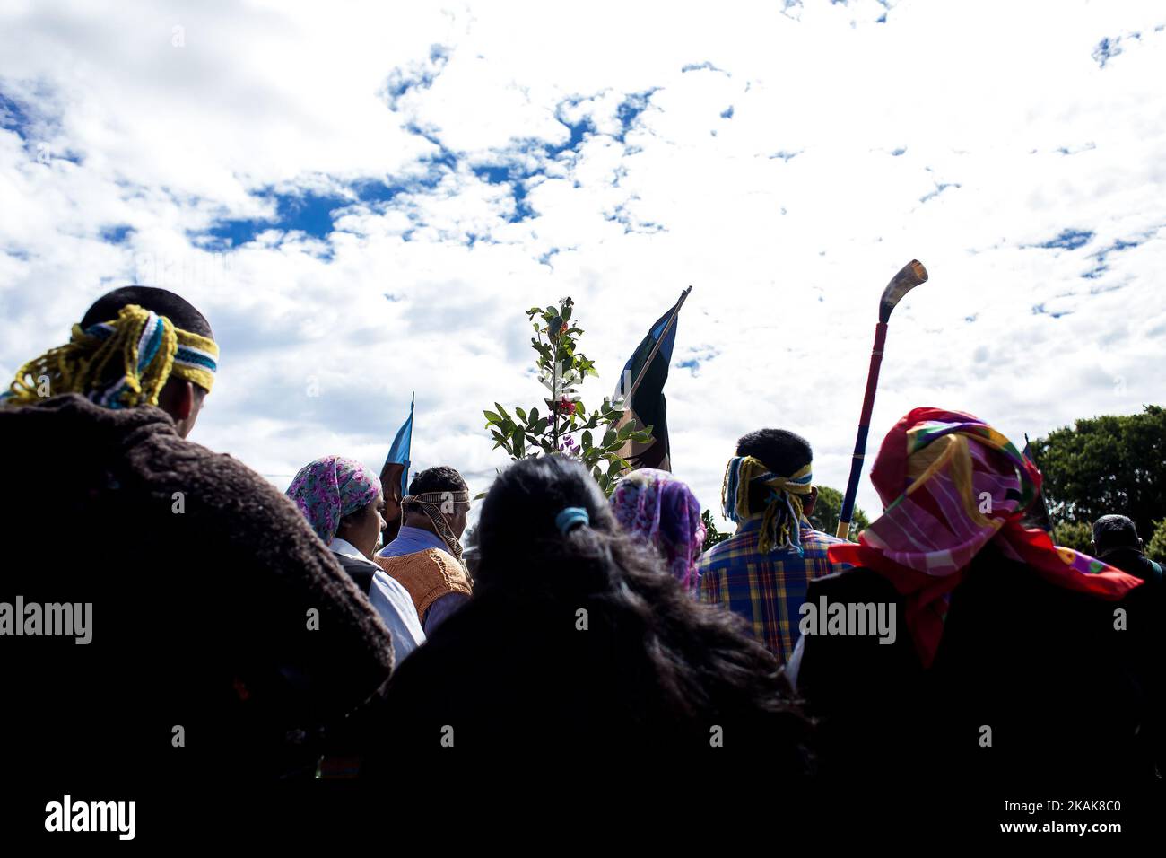 With a traditional rogativa, the Mapuche huilliche communities started ...
