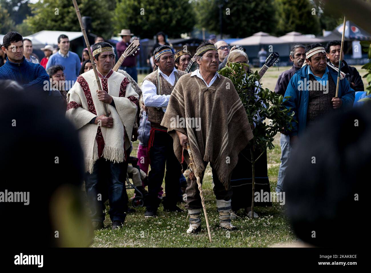 With a traditional rogativa, the Mapuche huilliche communities started the Palin game during the ...