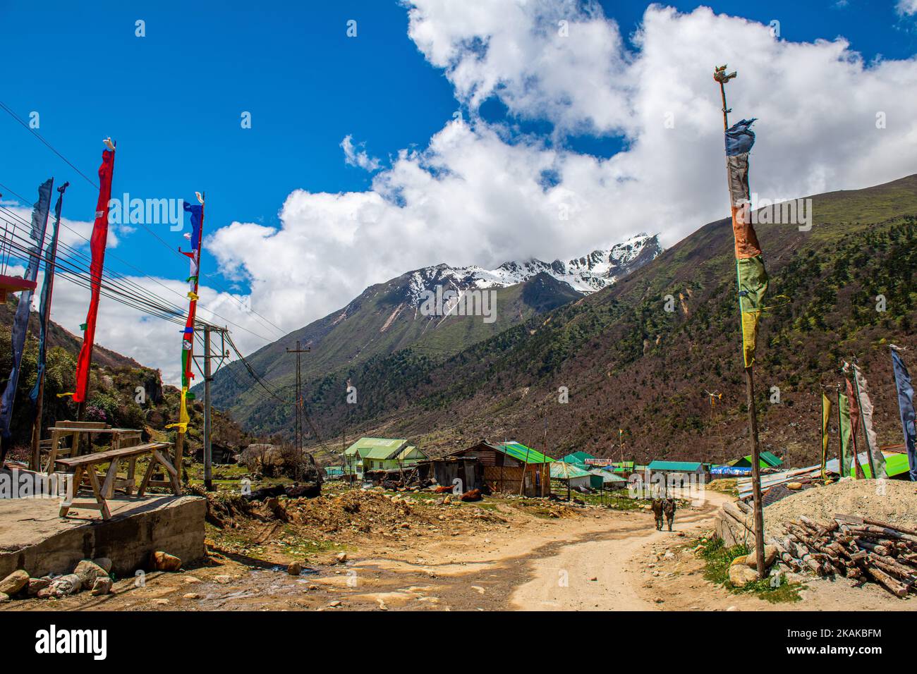 Chopta camp hi-res stock photography and images - Alamy