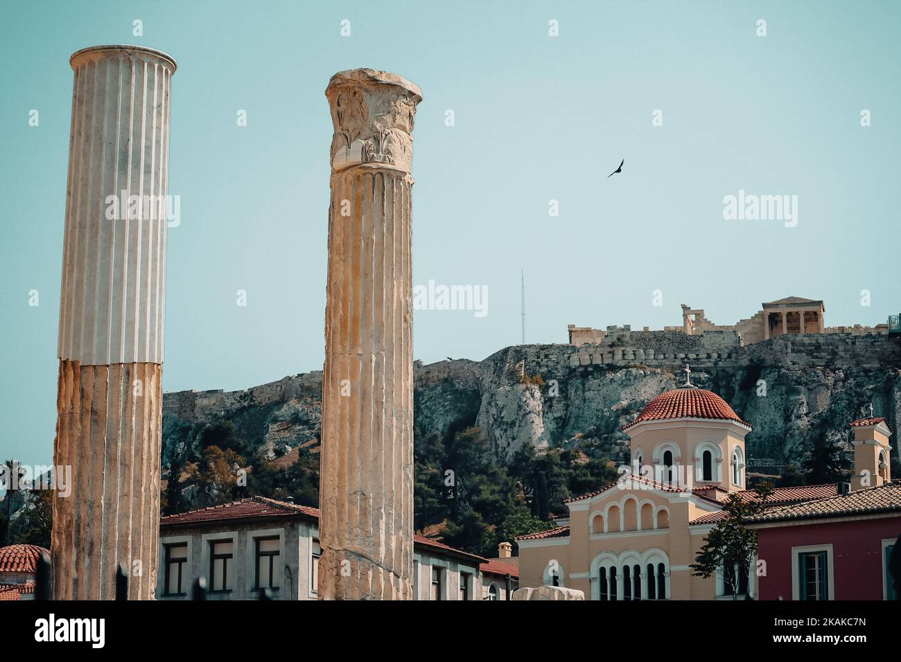 A bird flying over a building in the background of the historic pillars ...