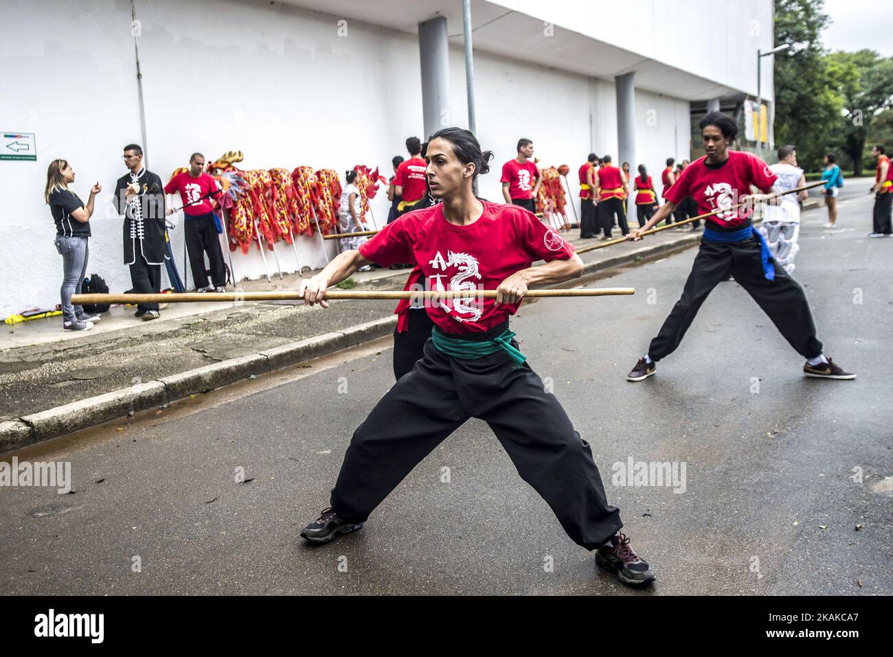Chinese residents in Brazil parade in costume to celebrate New Year ...