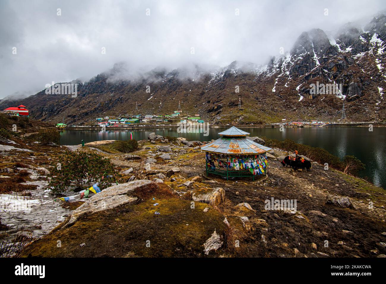 A Tourist riding yak decorated in dress and bells near Tsomgo Lake on ...