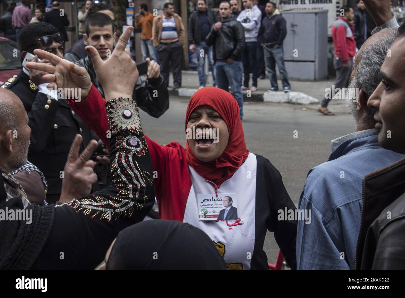 Egyptian, holding a national flag and photo depicting President Abdel ...