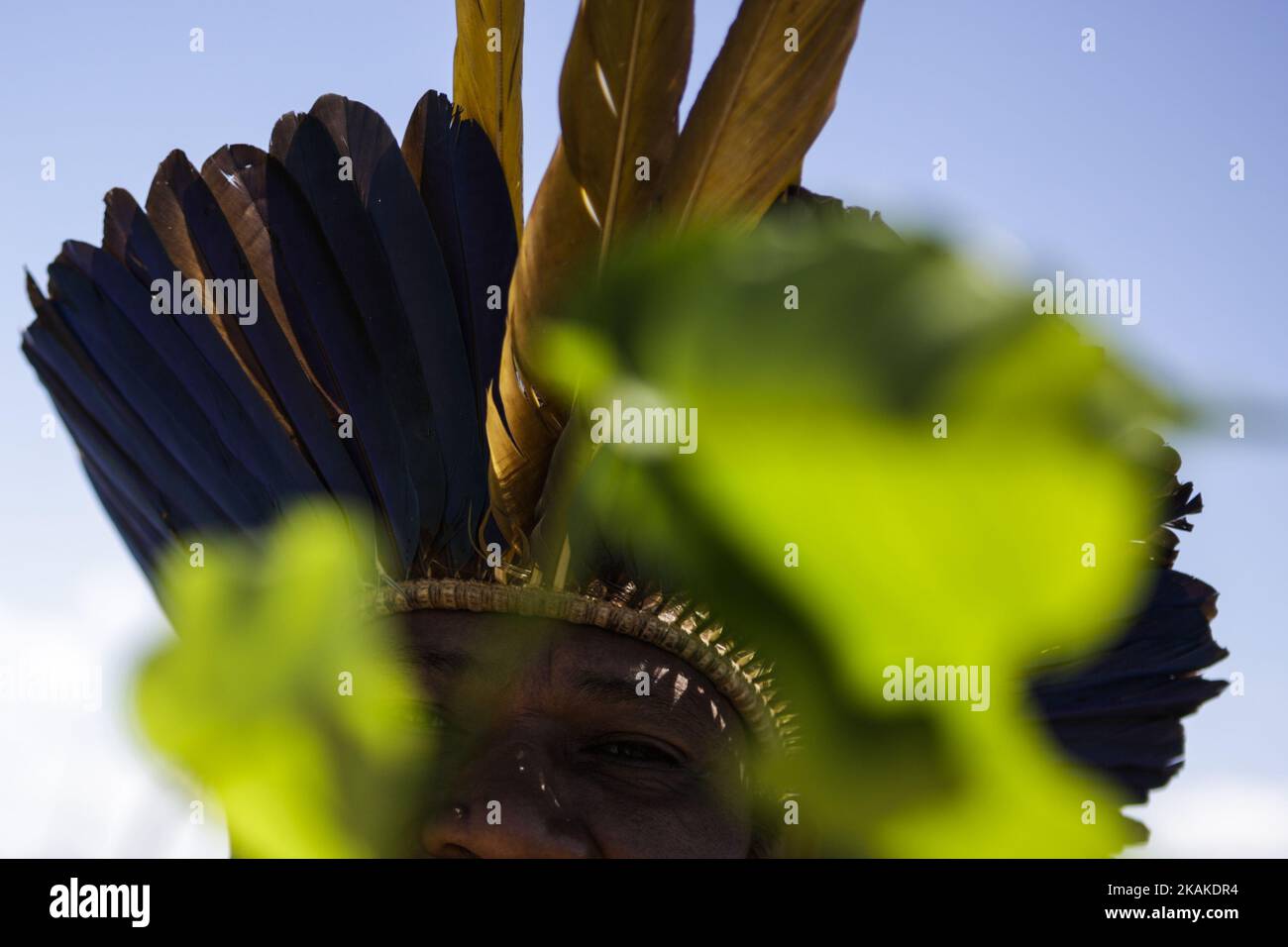 Cacique Nelson, of the Guarani tribe. January 26, 2017. Guarani Indians ...