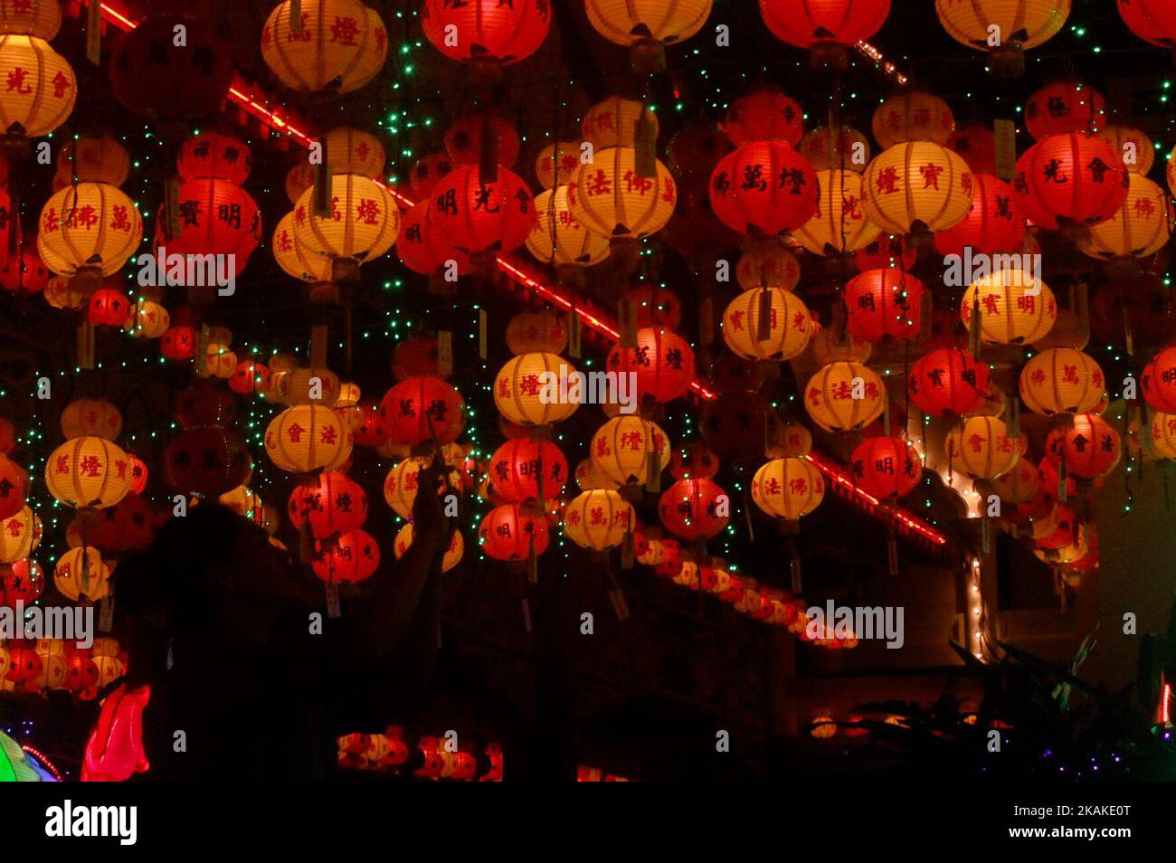 Visitor enjoying annual lighting display which showcases more than ...