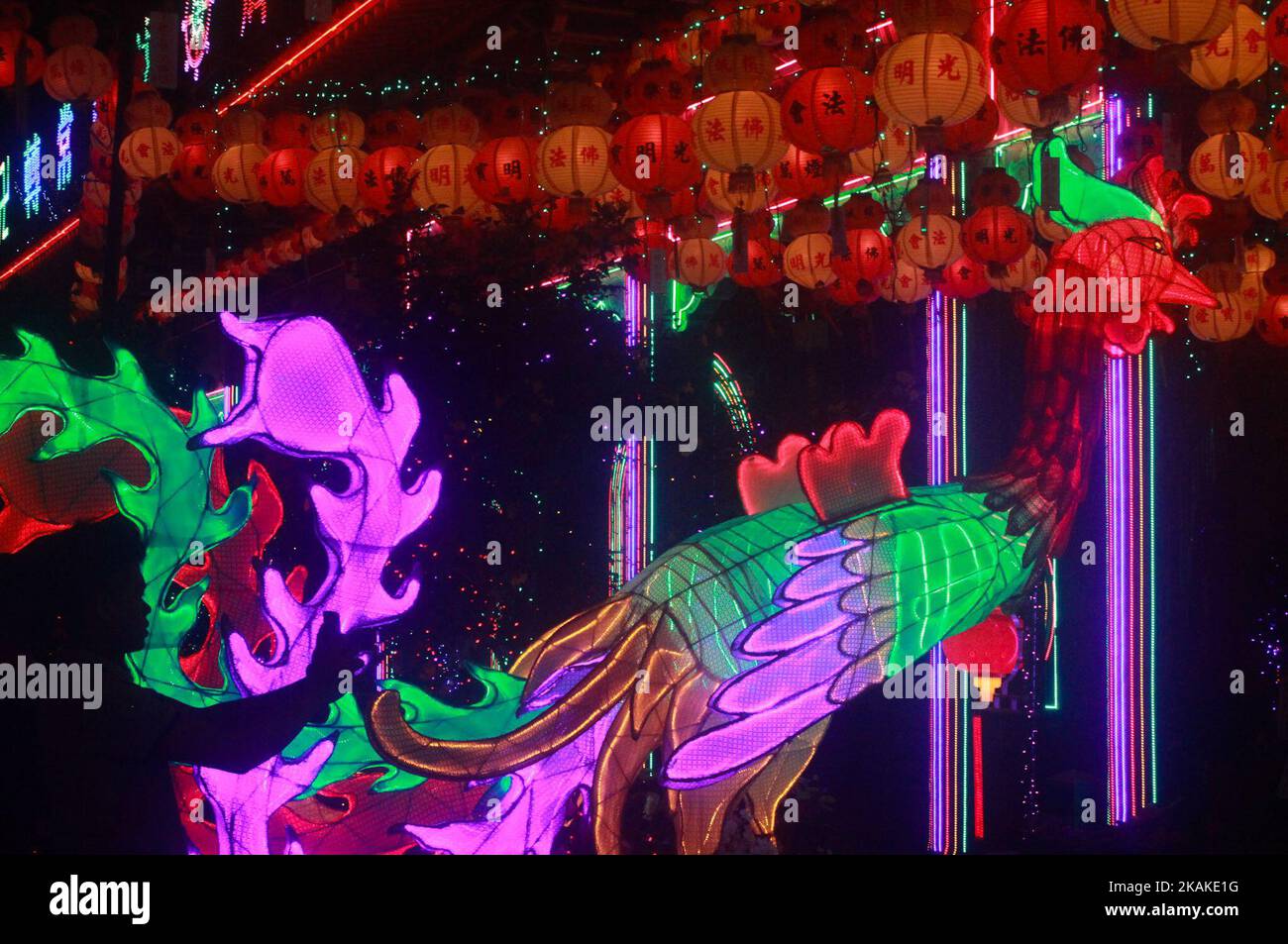 Visitor enjoying annual lighting display which showcases more than ...