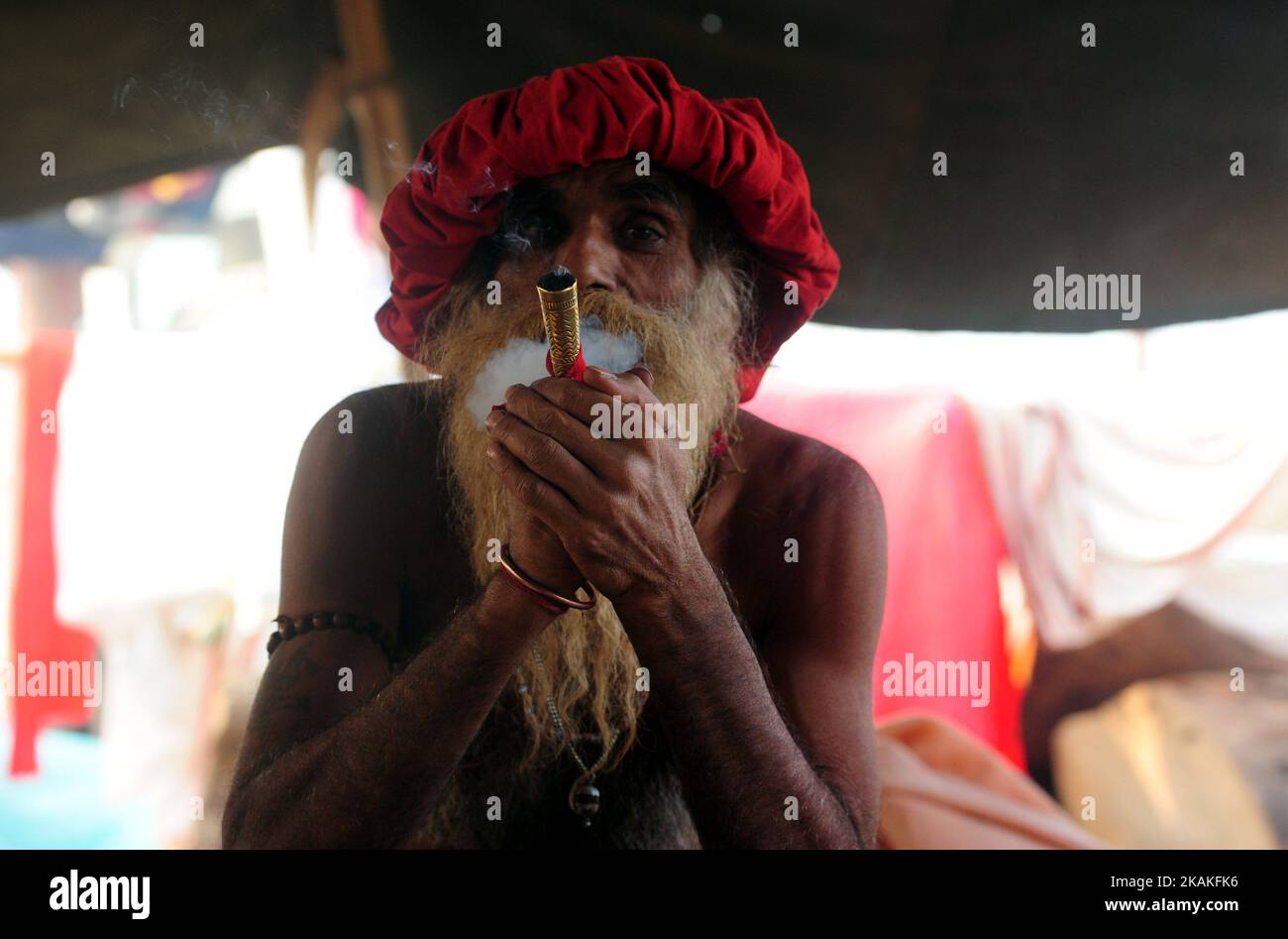 An indian sadhu or holy man smokes marijuana in a gold pipe in his camp ...