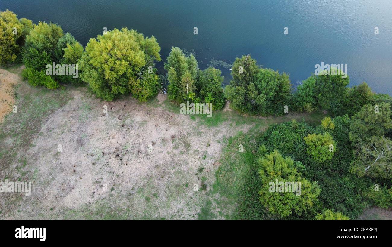 A top view of several plants and trees by the riverside Stock Photo - Alamy