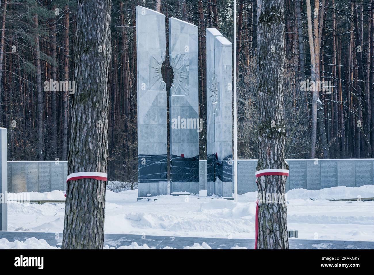 Pro nazi general hi-res stock photography and images - Alamy