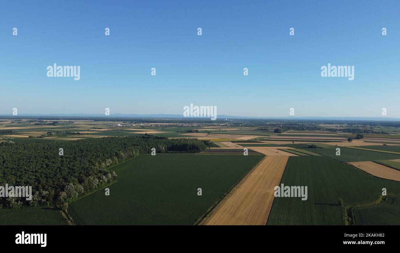 An aerial view of vast agricultural fields under a clear sky Stock ...