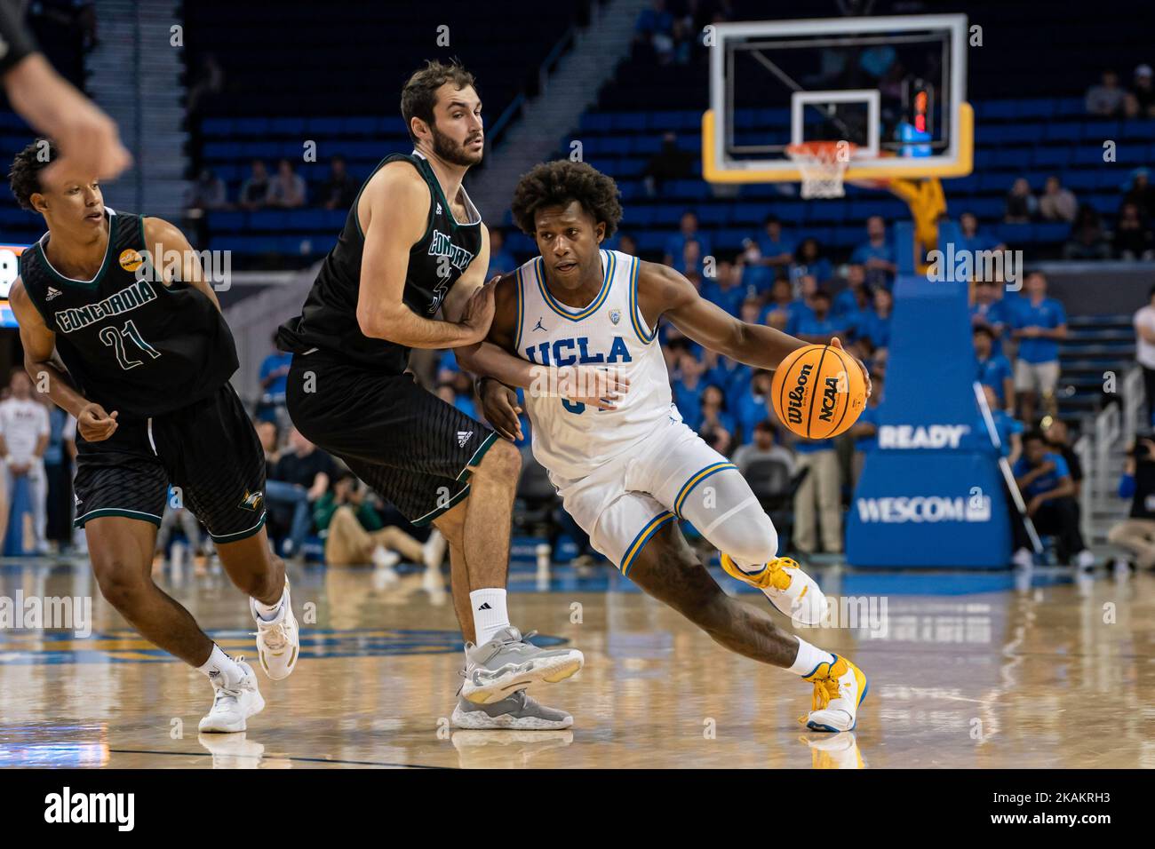 Concordia eagles hi-res stock photography and images - Alamy