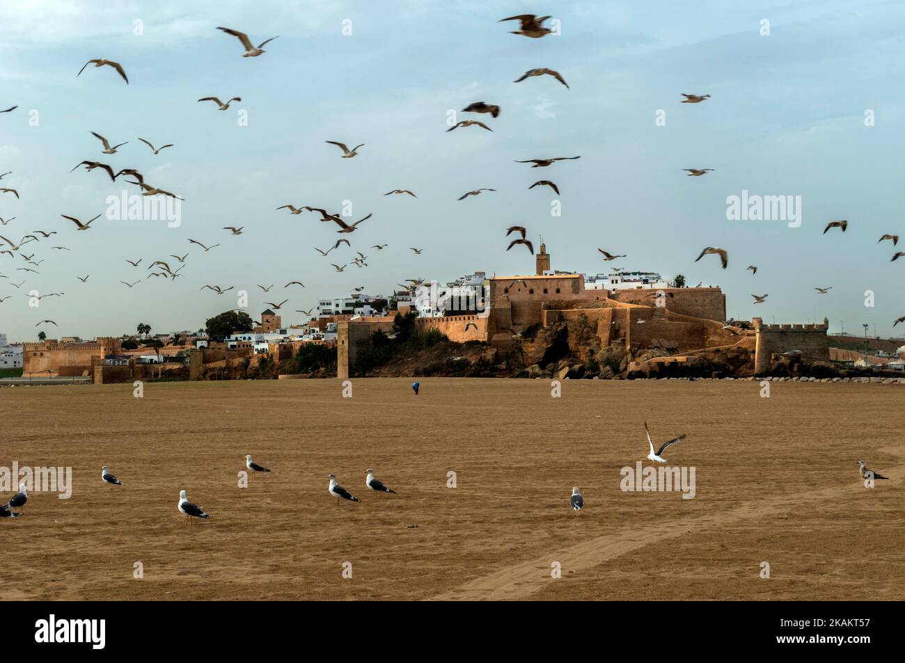 Fort rabat hi-res stock photography and images - Alamy