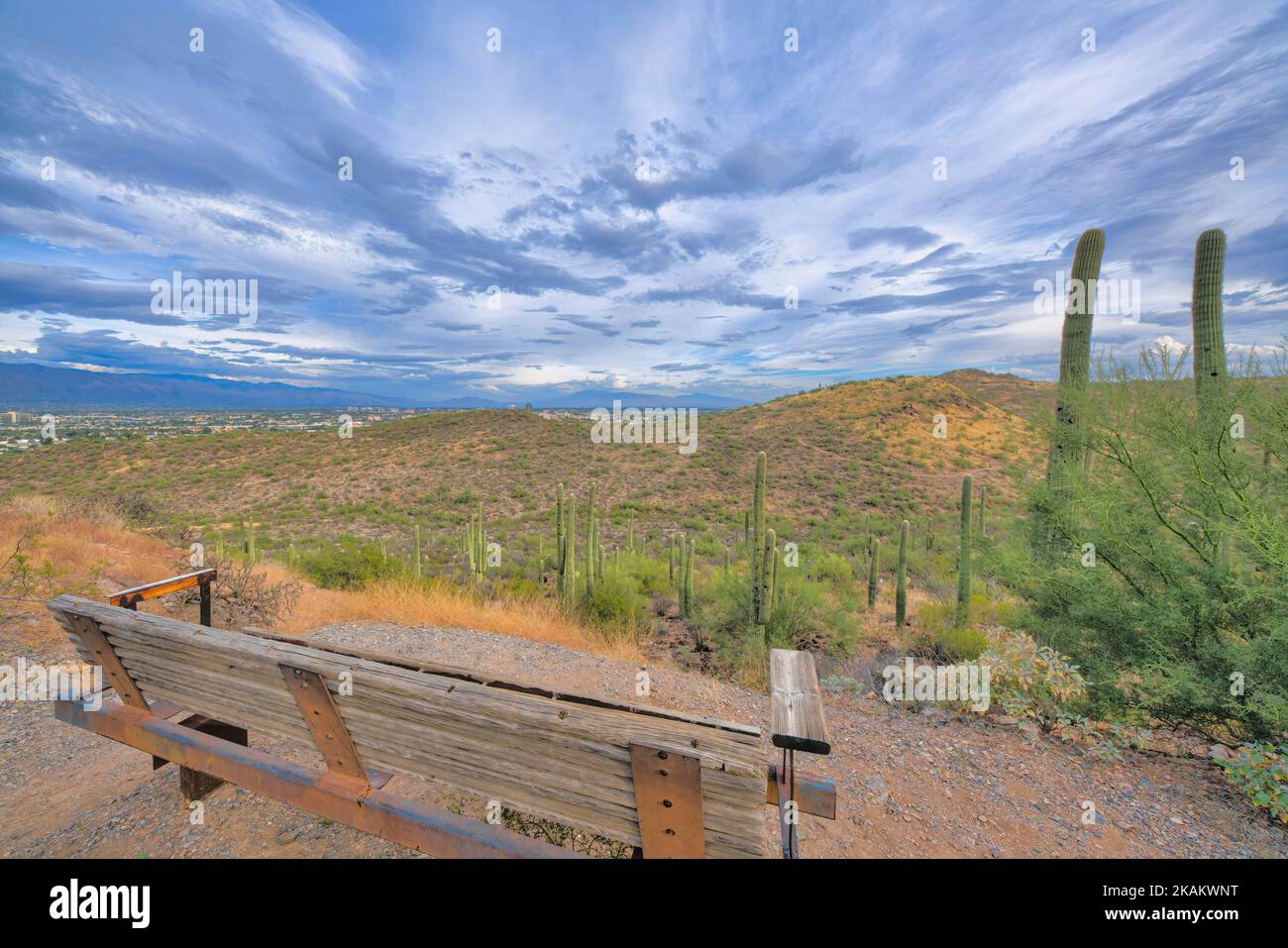 Wooden bench facing the Arizona landscape at Tucson, AZ. Arizona ...