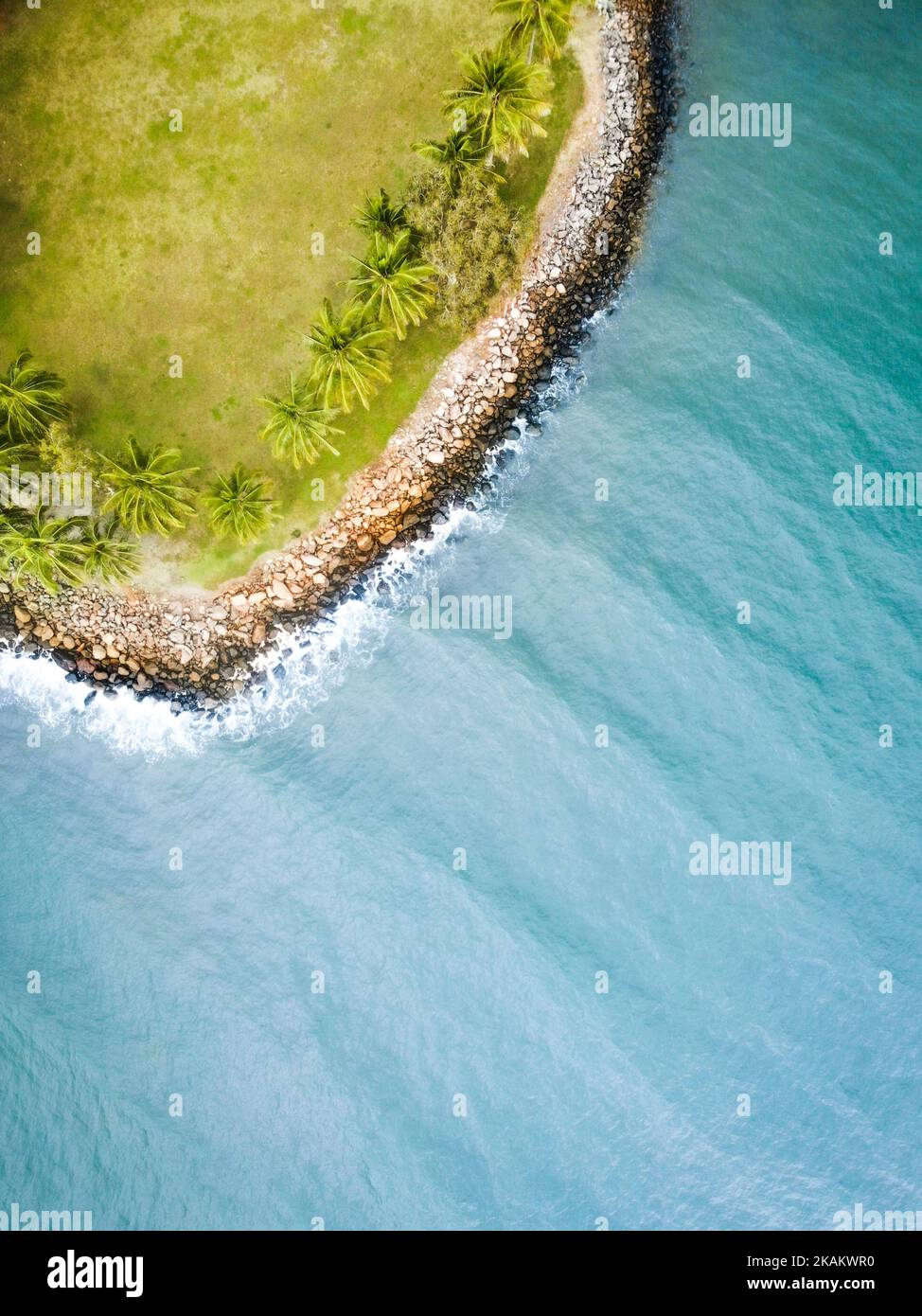 Aerial top shot palm trees hi-res stock photography and images - Alamy