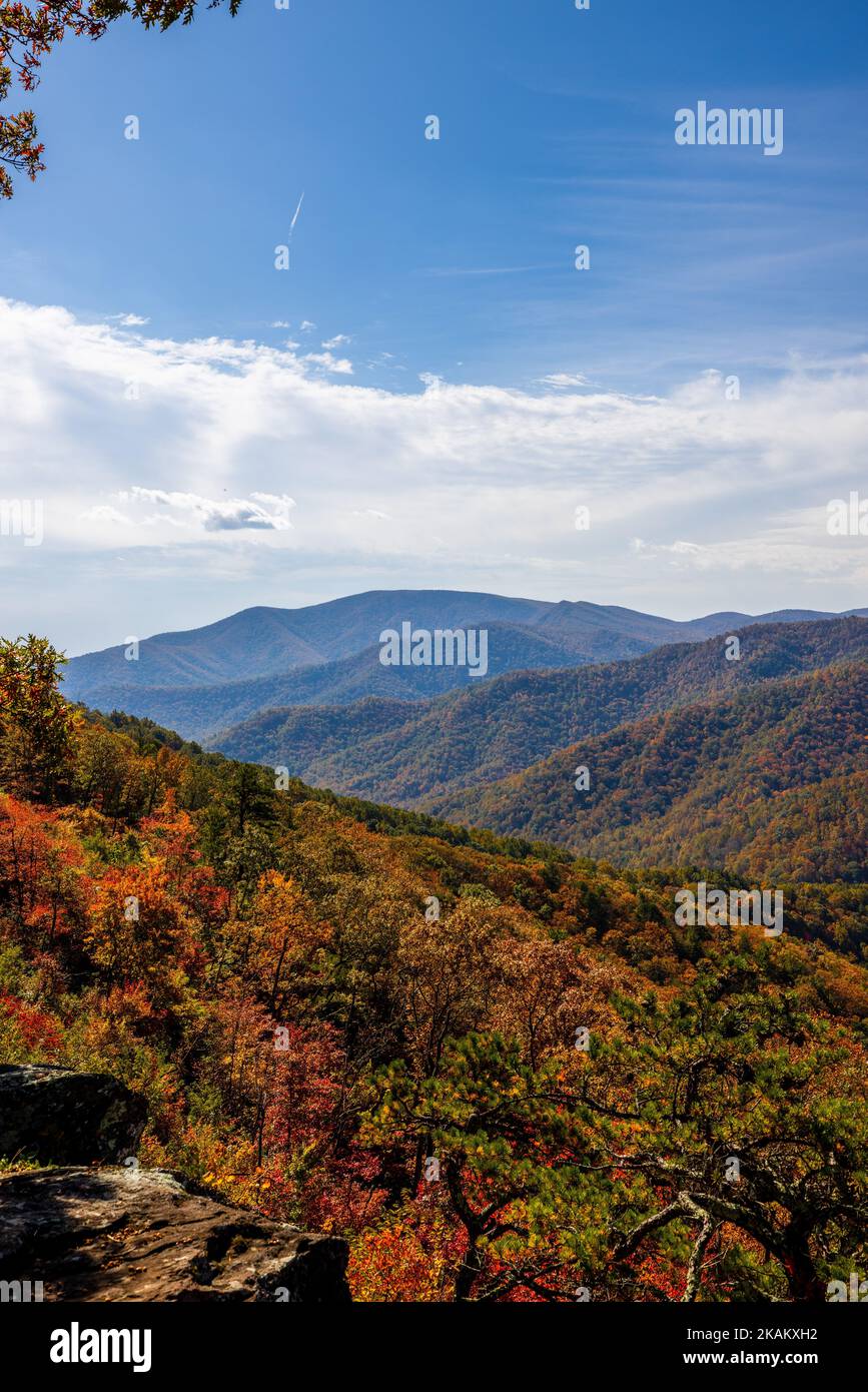 An autumn landscape forest with colorful leaves, vertical Stock Photo ...
