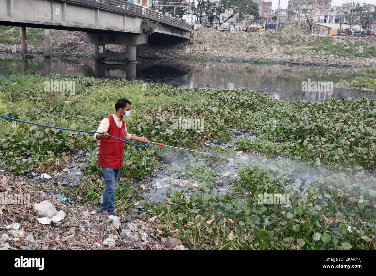 Dhaka, Bangladesh. 3rd Nov, 2022. A city corporation officer is ...