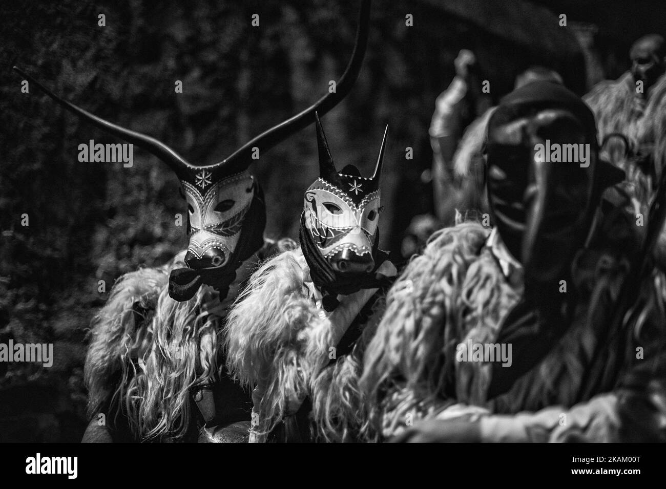 The Carnival in Sardinia, Italy, has many faces fascinating.Carnivals ...