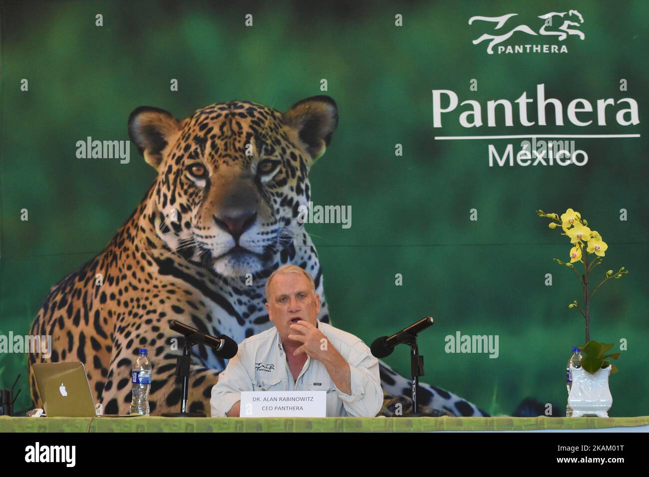 Alan Rabinowitz, the CEO of Panthera, a nonprofit conservation ...
