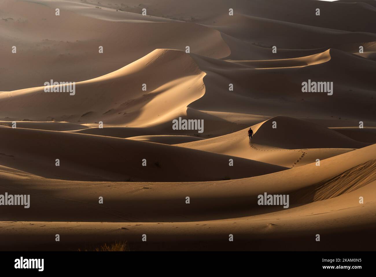 Man is walking in Sahara desert Stock Photo - Alamy