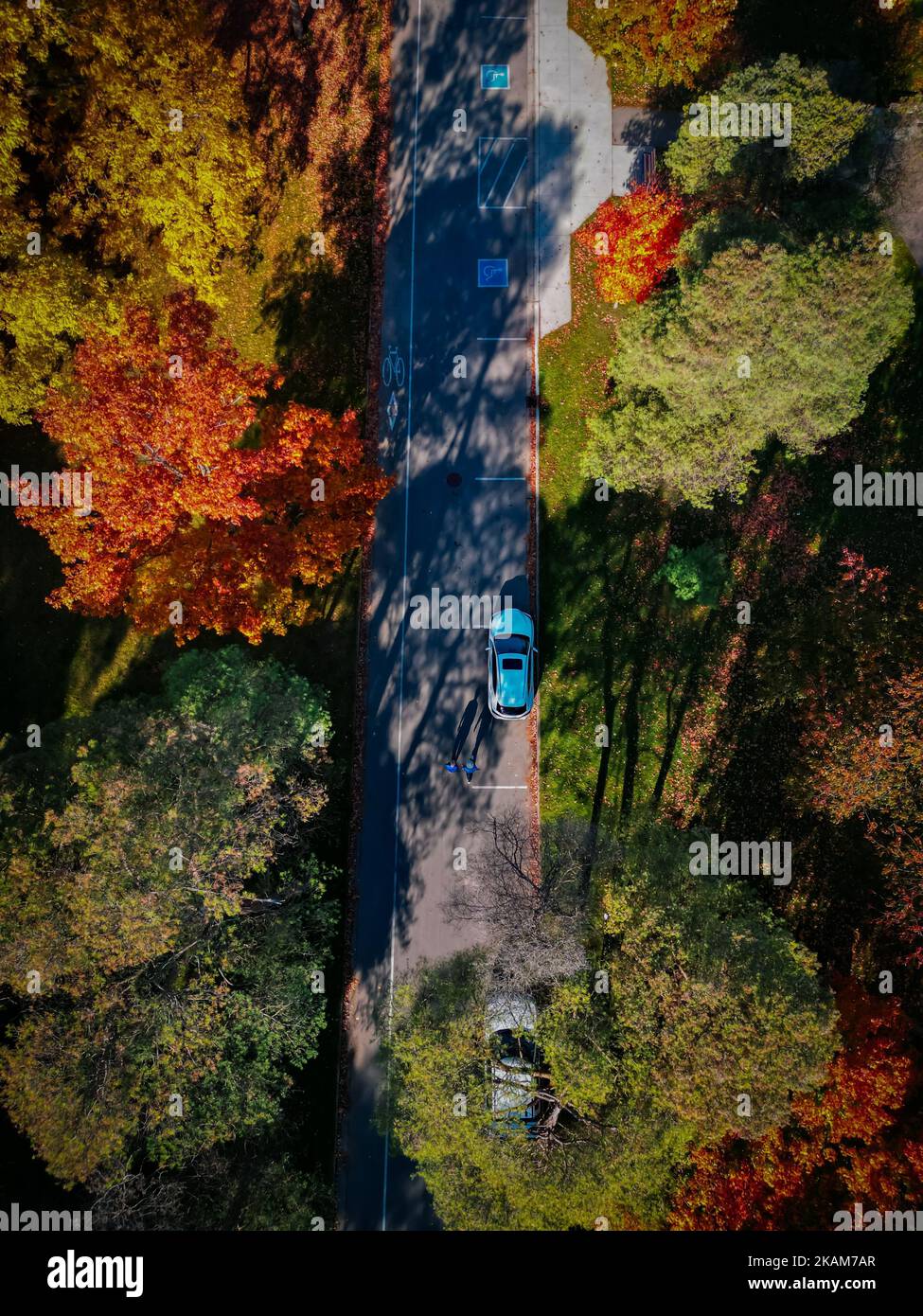 A bird's eye view of cars driving on the road surrounded by autumn ...