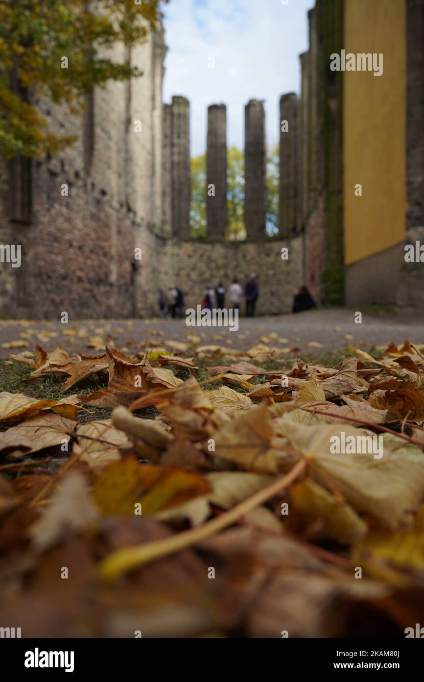 A low-angle vertical shot of the autumn leaves with a family standing ...