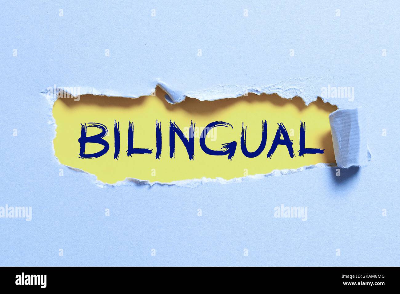 Handwriting text Bilingual. Business approach digital database ...