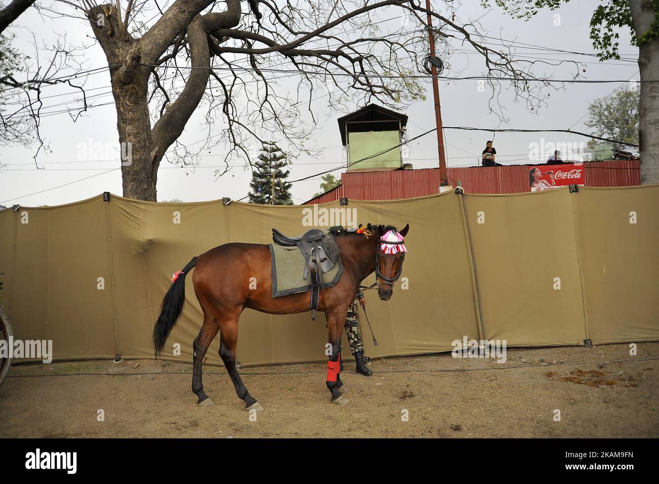 A Nepalese Army arrives along with his horse to take part in Ghode ...