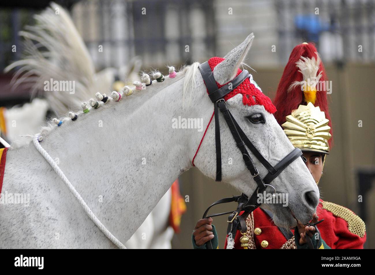 Nepalese army horse cavalry parade hi-res stock photography and images ...