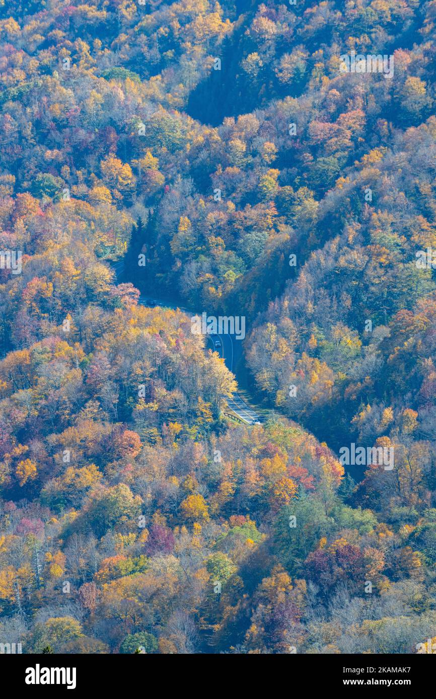 The amazing autumn colors in Great Smoky Mountains Stock Photo - Alamy