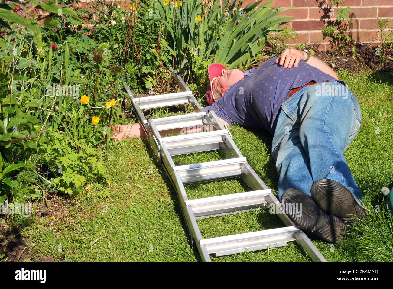 Senior man accident. Fallen off of a ladder. Injured Stock Photo - Alamy