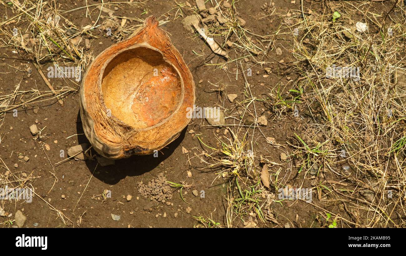 coconut coir fiber shell on the ground Stock Photo - Alamy