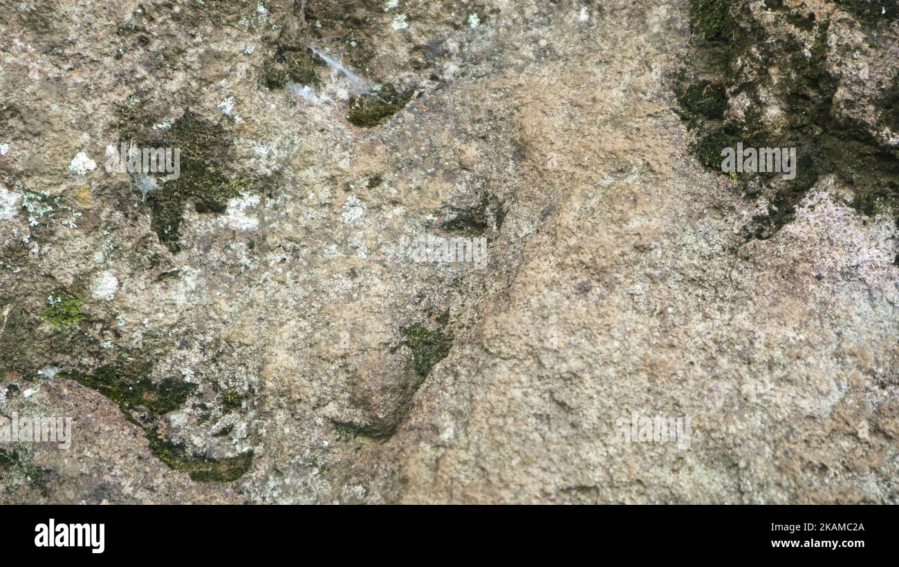 amazing stone texture as background Stock Photo - Alamy