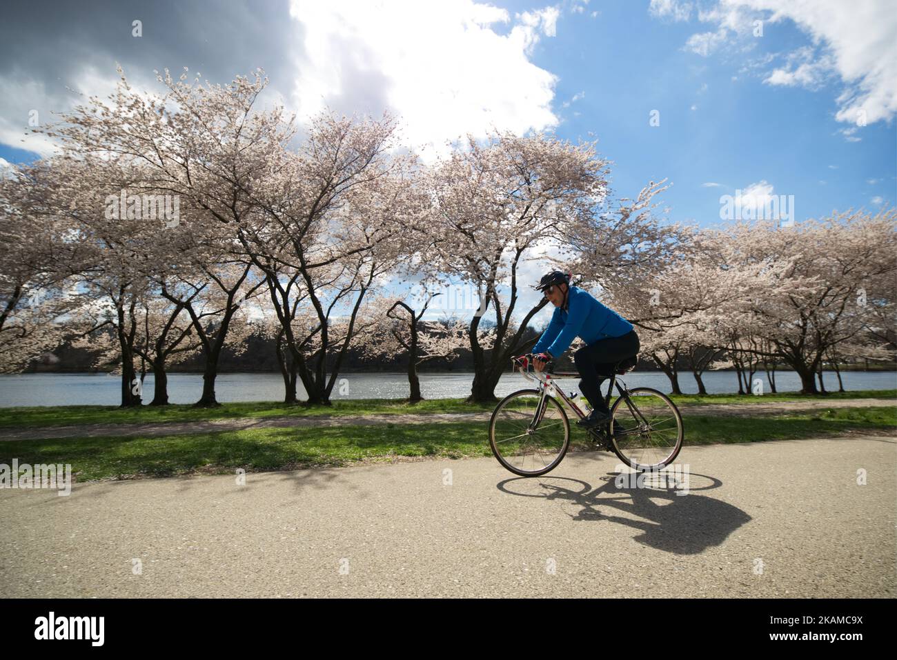 Kelly drive hi-res stock photography and images - Alamy