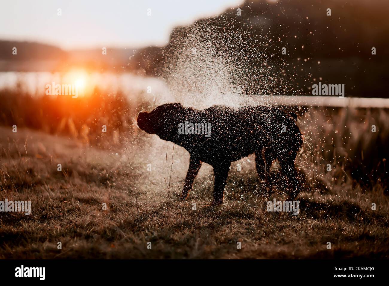 African american love eighties hi-res stock photography and images - Alamy