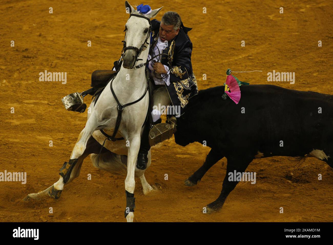 Portuguese Horseman Bullfighter Joao Moura horse falls during a ...