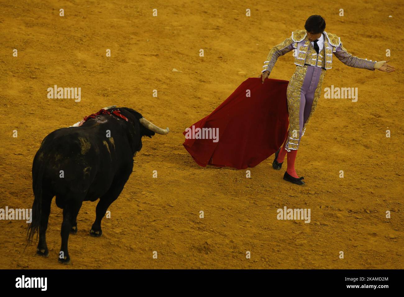 Andrés roca rey hi-res stock photography and images - Alamy