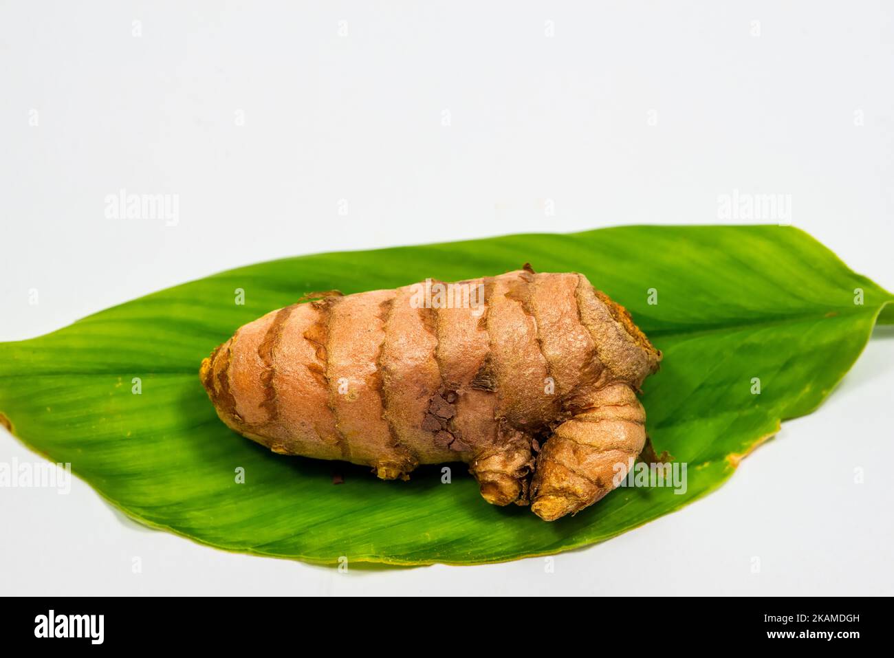 Turmeric Root On A Turmeric Leaf In A Closeup Stock Photo - Alamy