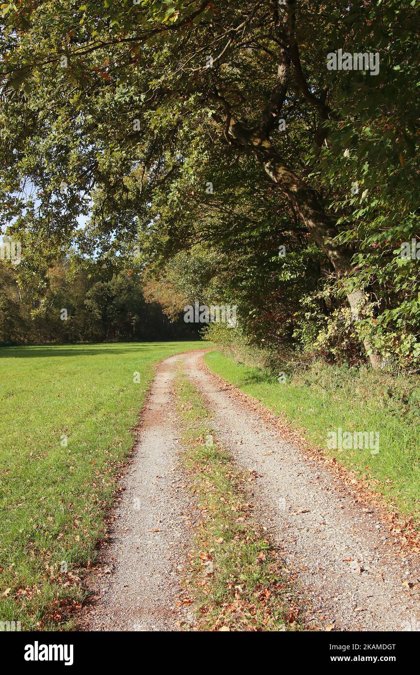 Walk Through The Park Stock Photo - Alamy