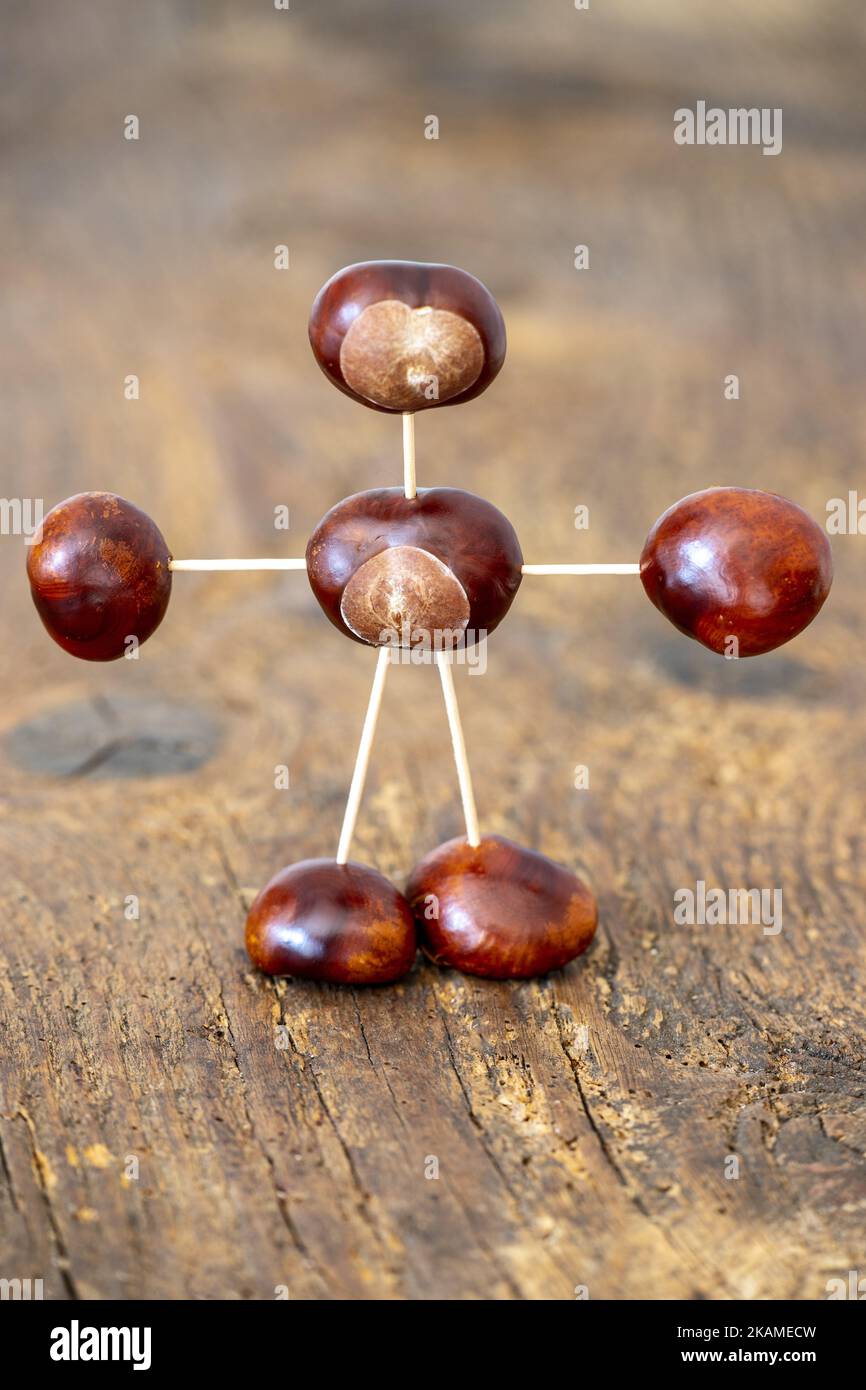 Chestnut Man On Dark Wood Stock Photo - Alamy