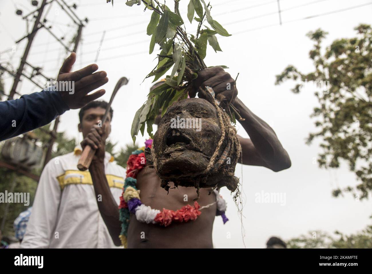 A devotee is holding a human head in his hand in Burdwan, India on 13 ...