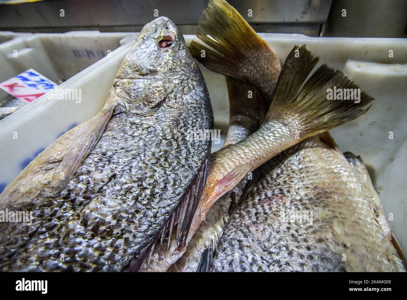 Intense movement of consumers in search of fish in the Fish Market, in ...