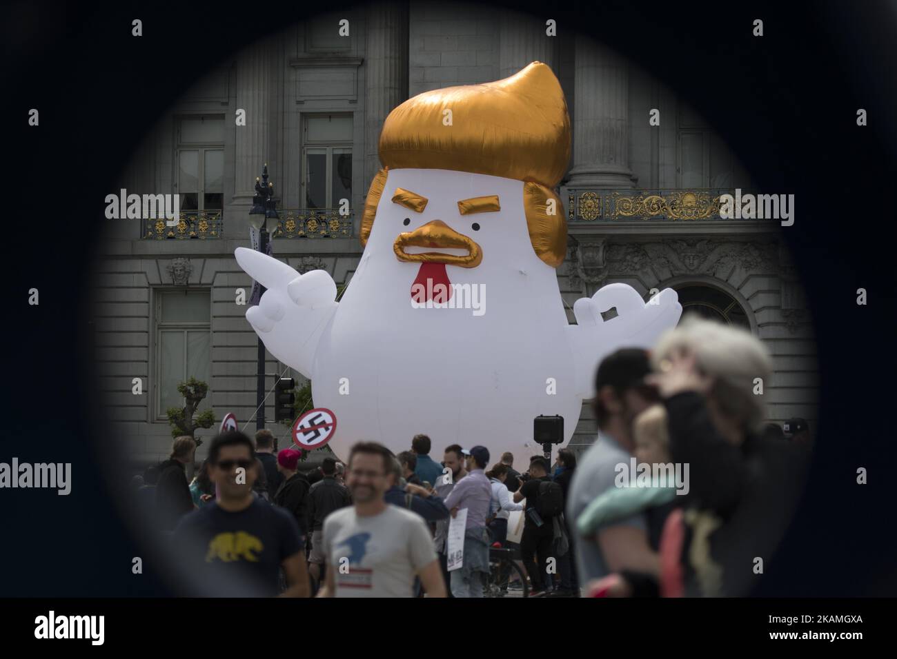 Trump chicken hi-res stock photography and images - Alamy