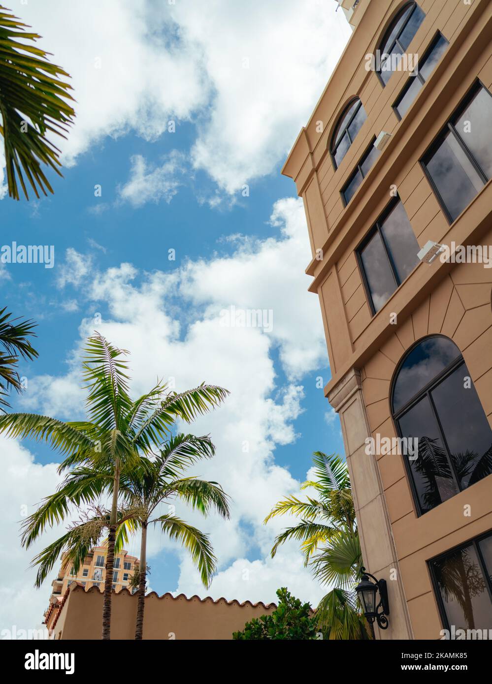 A scenic shot of a tree and a building with blue sky ad clouds Stock ...