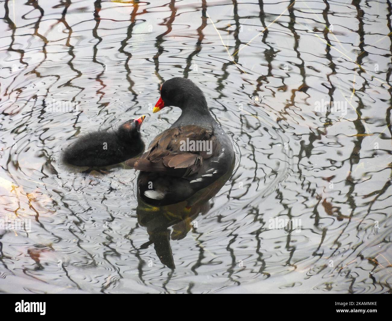Take care environment hi-res stock photography and images - Alamy