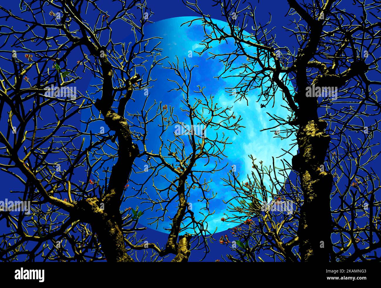 The big blue moon was behind a tree that was predominantly branched ...