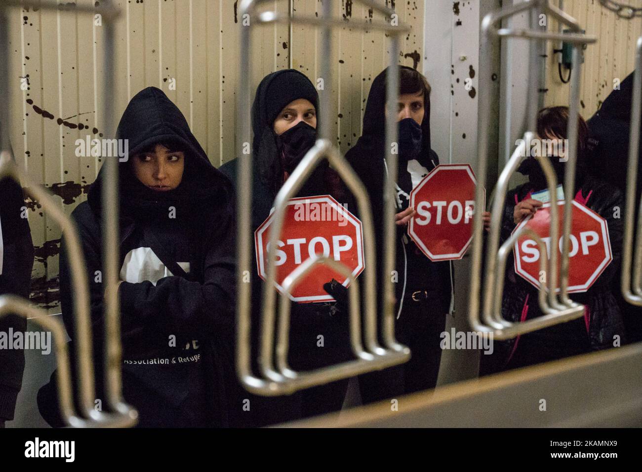 Occupation of the association "269 Life Libération Animale" of the ...