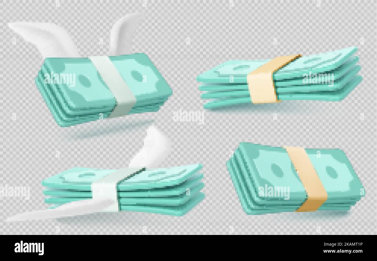 Money banknotes bundles with wings isolated on transparent background ...