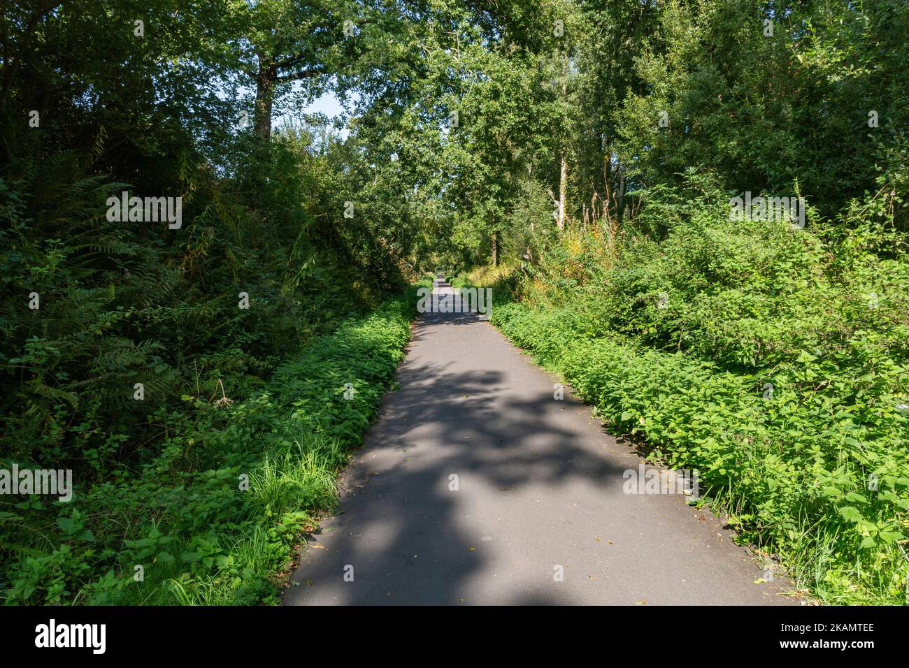 Detail of Tarka Trail: September View looking From the Puffing Billy at ...