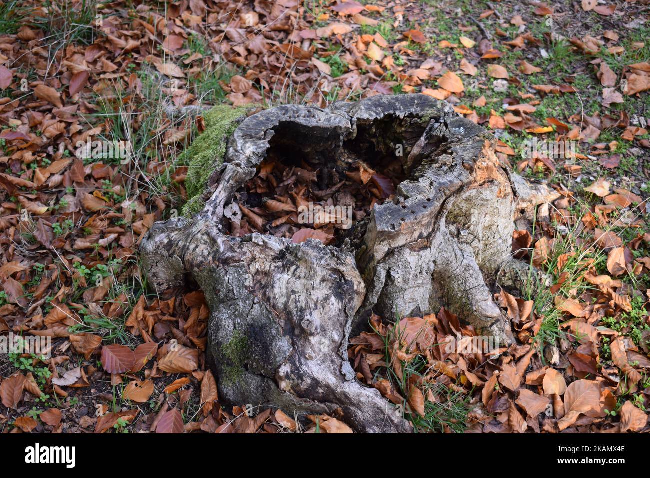 Lacher see gebiet hi-res stock photography and images - Alamy